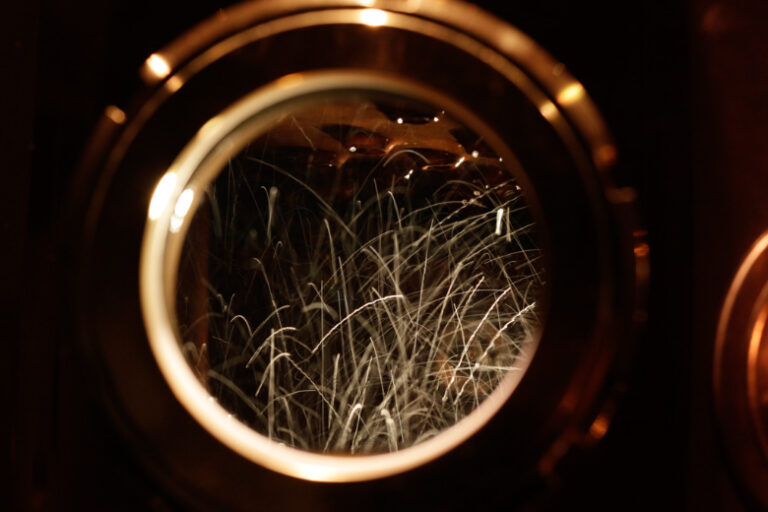 The Pioneering Power of Column Stills | Tiantai© Alcohol Distiller ...