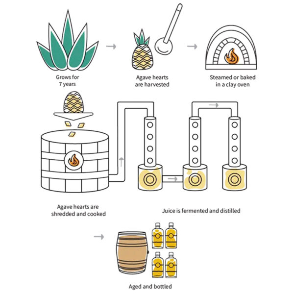 What is the tequila distillation process? | Tiantai© Alcohol Distiller ...